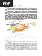 Mitosis and The Cell Cycle - Cell Division - AQA - GCSE Biology (Single ...