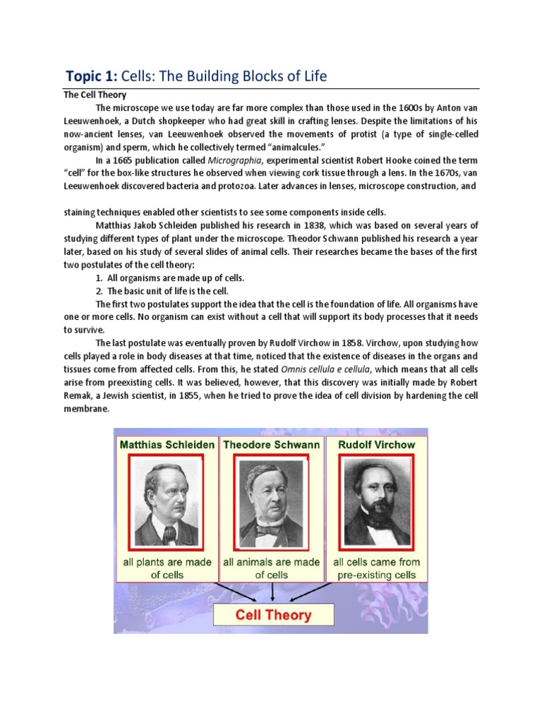 Cells The Building Blocks of Life - Learning Material | PDF ...