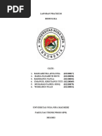 Logo Smansa | PDF