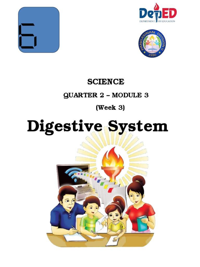 Science 6 2nd Quarter W3 | PDF | Human Digestive System | Digestion