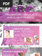 Técnicas de Cervicotomía | PDF | Especialidades Medicas | Medicina CLINICA