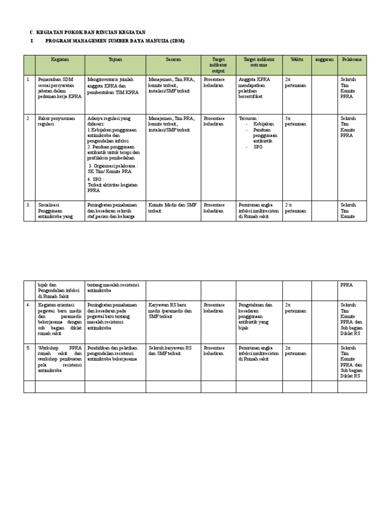 Program Kerja Ppra Lembar 2 | PDF
