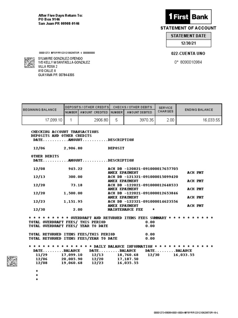 Account Statements | PDF | Overdraft | Transaction Account