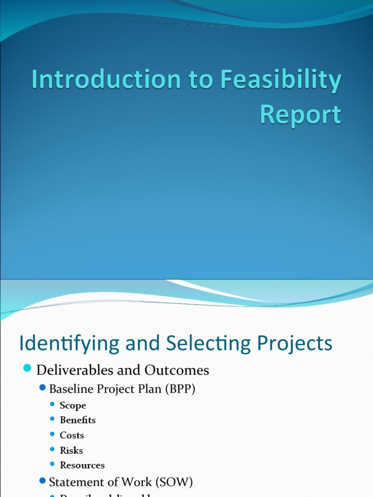 PM 4 Introduction To Feasibility Report | PDF | Feasibility Study ...
