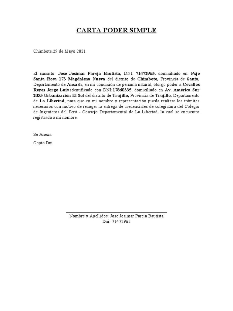 Carta Poder Simple - Modelo | PDF