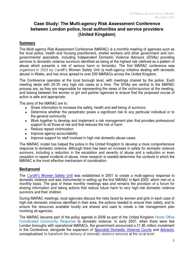 Security Marac Case Study | PDF | Domestic Violence | Violence