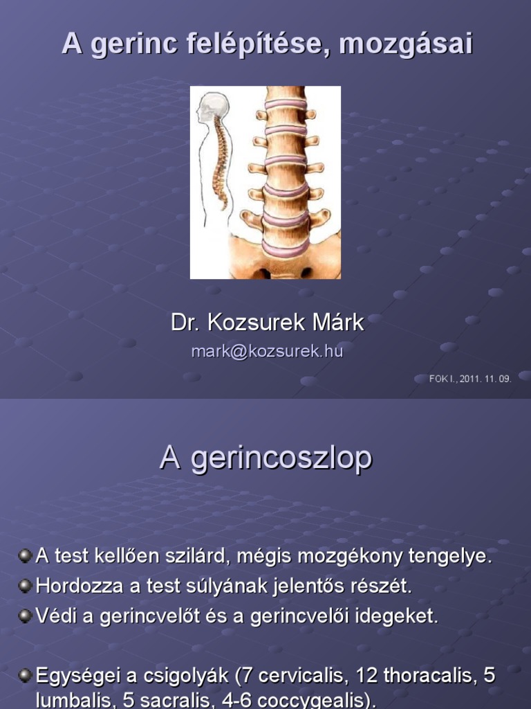 A Gerinc Felépítése, Mozgásai | PDF