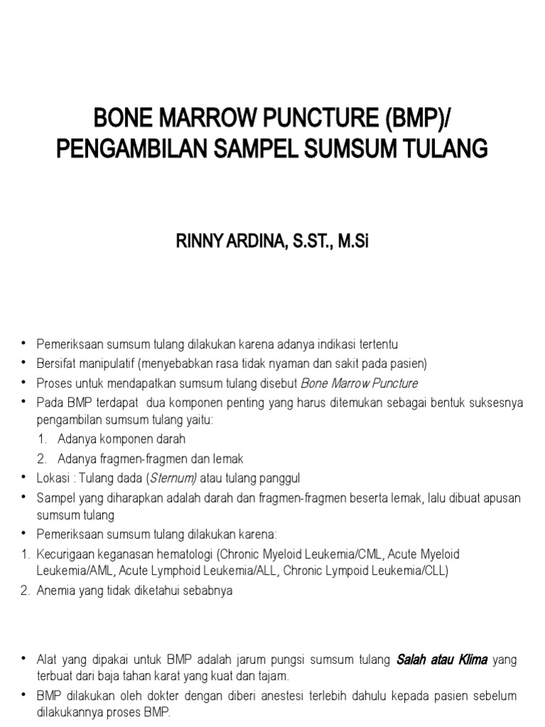 Prosedur dan Hasil Pemeriksaan BMP | PDF