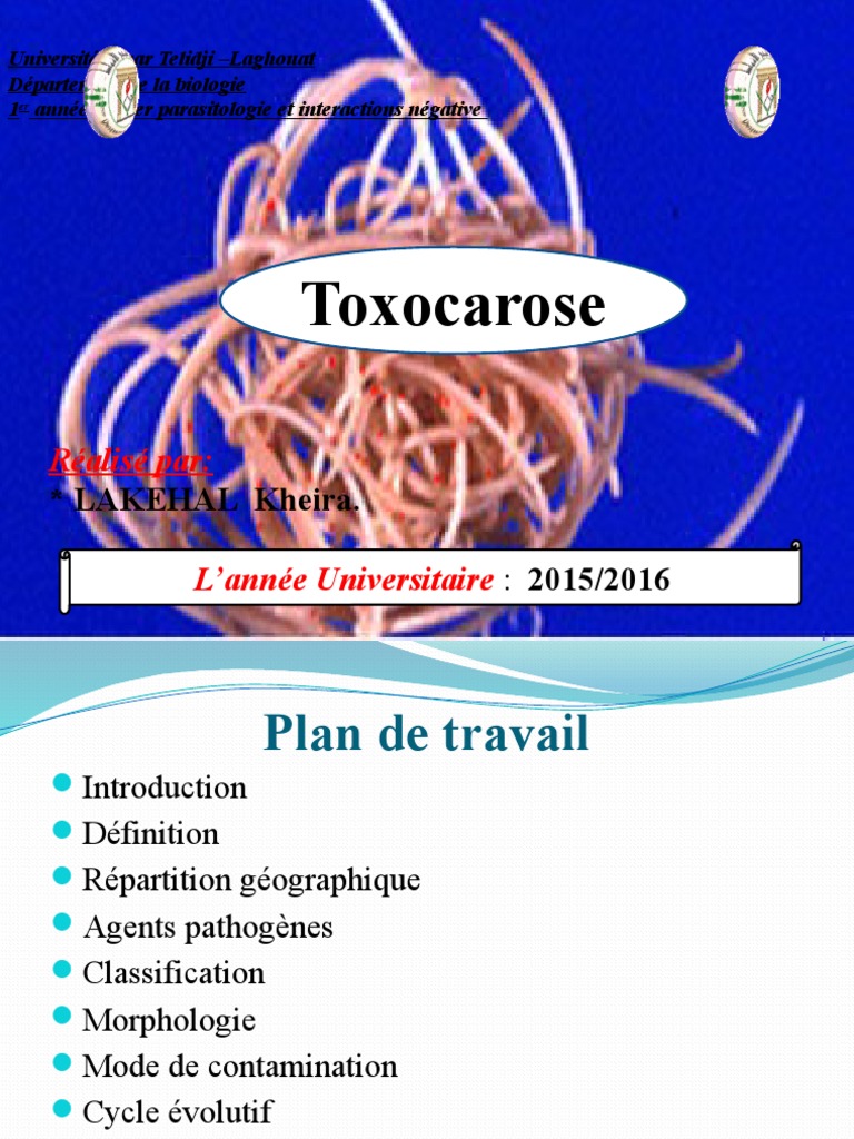 Toxocarose : Transmission et Traitement | PDF | Spécialités médicales ...