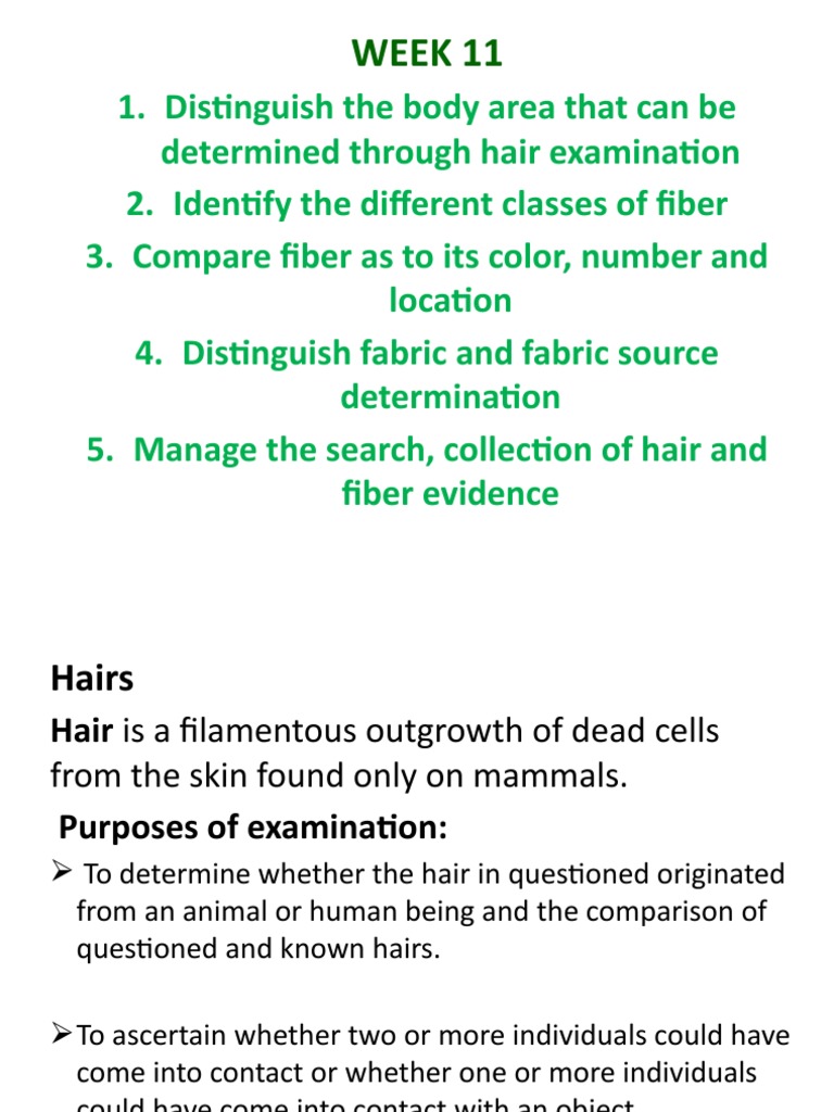 Forensic Hair and Fiber Analysis Guide | PDF | Yarn | Hair