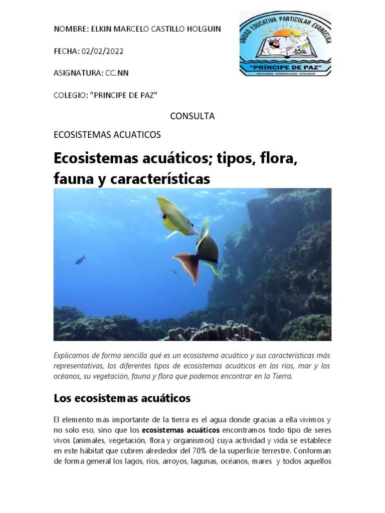 Exploring Aquatic Ecosystems: Types, Flora, Fauna and Characteristics ...