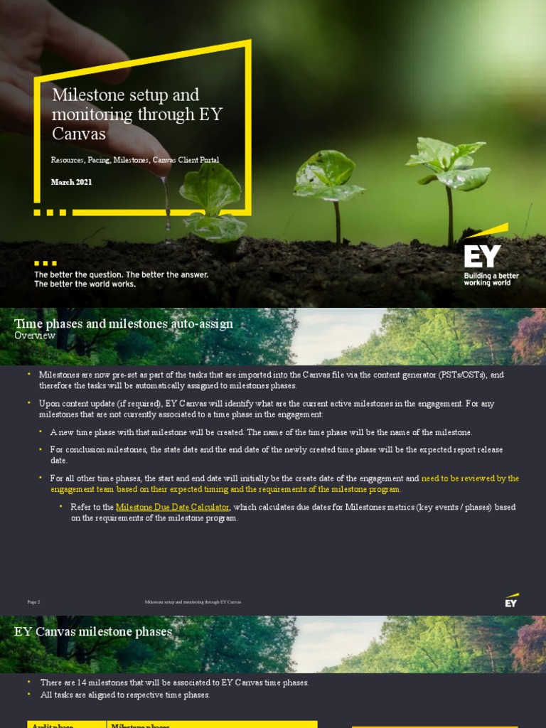 Milestone Set-Up Through EY Canvas | PDF | Business | Computing