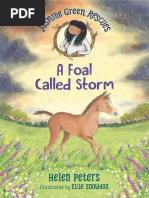 All Thirteen: Teachers' Guide | PDF | Narrative | Newbery Medal