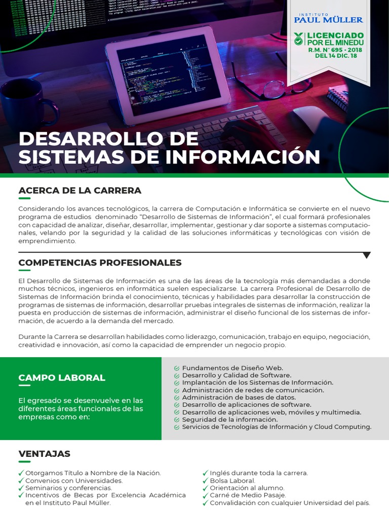 Desarrollo de Sistemas de Información | PDF | Sistema de informacion ...