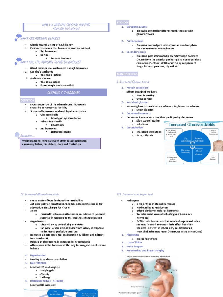 What Are Adrenal Glands Ncm 116 Medical Surgical Nursing Adrenal