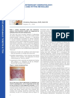 Pruritus Analog Scale 1 PVAS | PDF