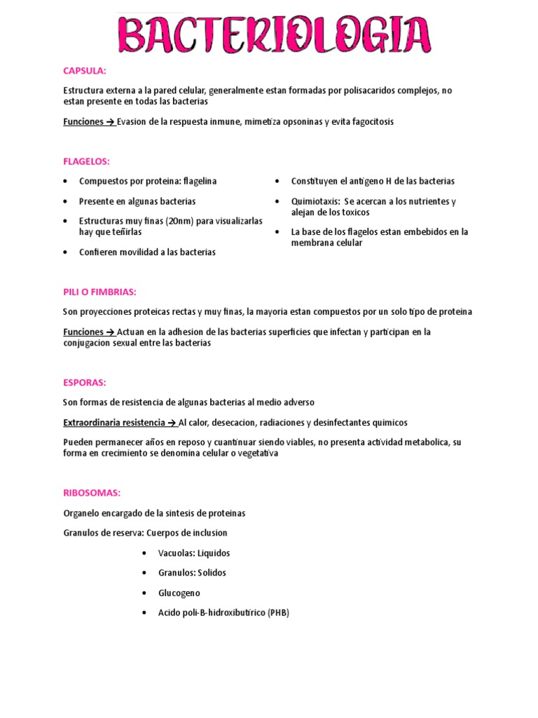 Bacterio Log I A | PDF | Staphylococcus Aureus | Las bacterias