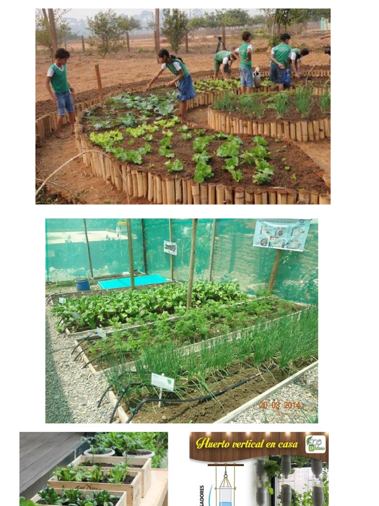 Imagenes de Biohuertos | PDF
