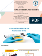 Actualizacion de Protocolos de La Cap | PDF