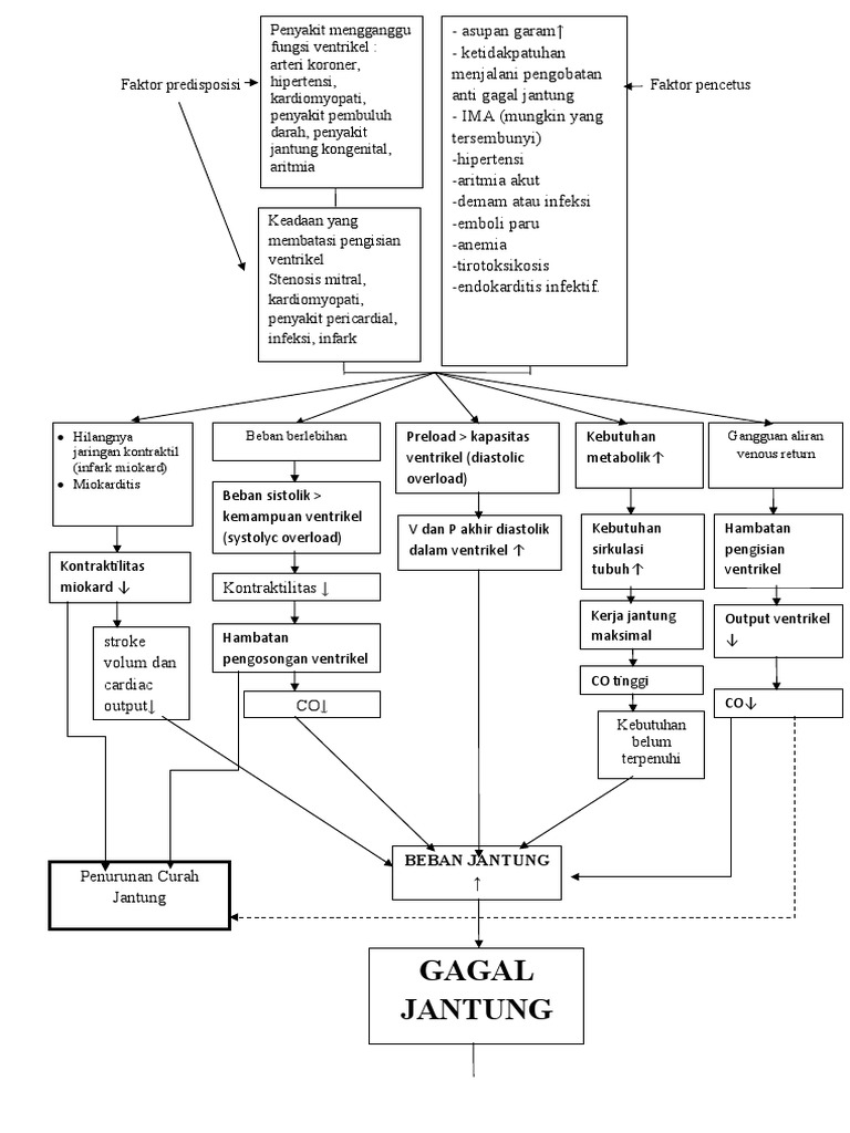 Pathway CHF PDF