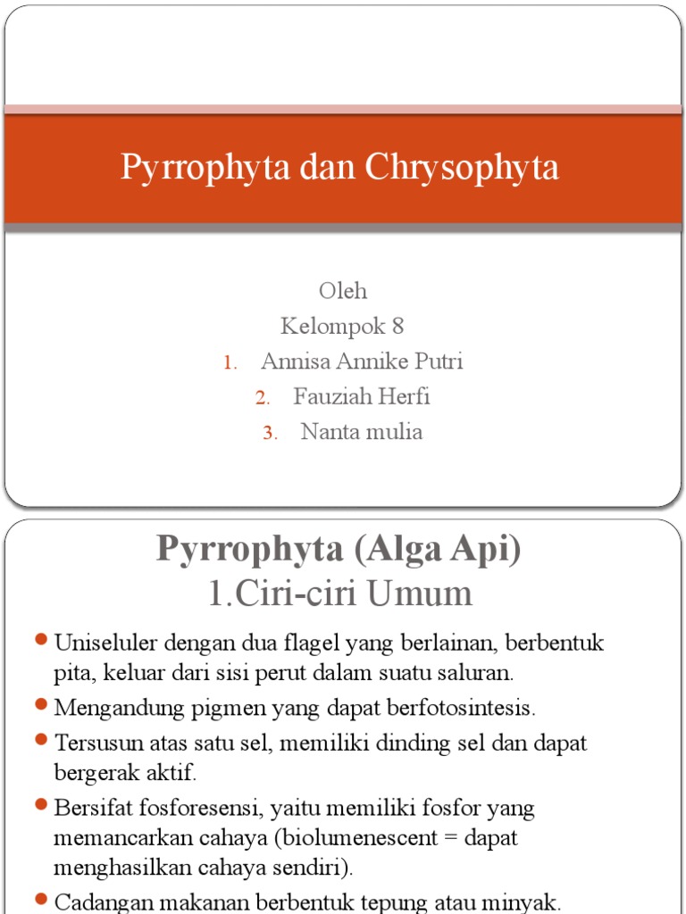 Pyrrophyta dan Chrysophyta: Ciri, Struktur, dan Peranan | PDF | Sains ...