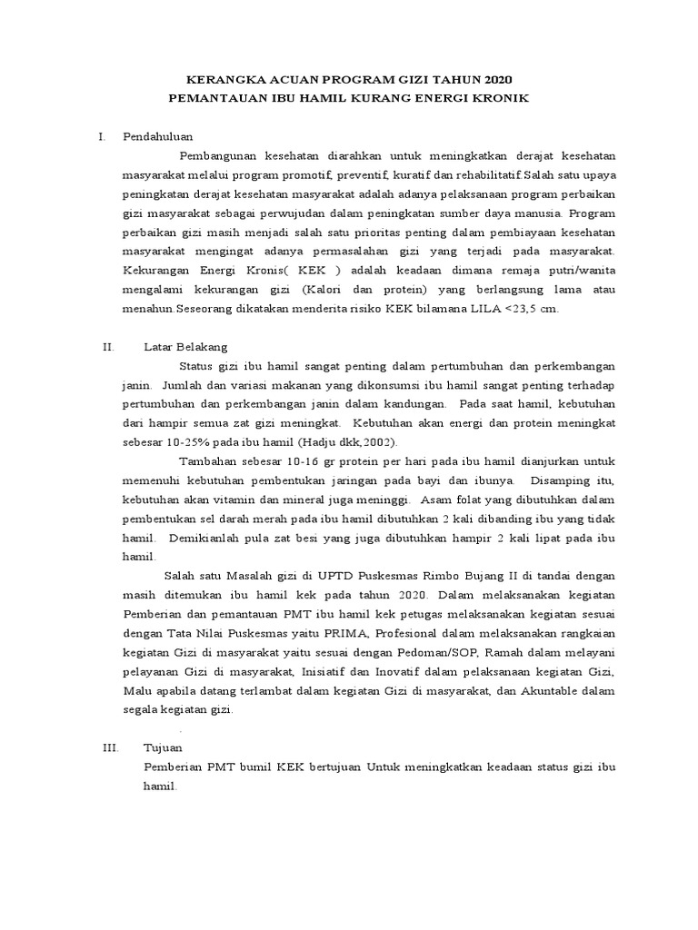 Pemantauan Gizi Ibu Hamil KEK 2020 | PDF | Ilmu Sosial