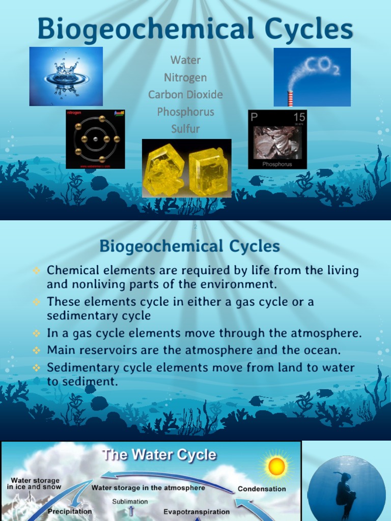 Biogeochemical Cycles | PDF | Sulfur | Carbon Dioxide