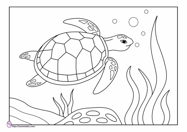 Gambar Mewarnai Penyu | PDF