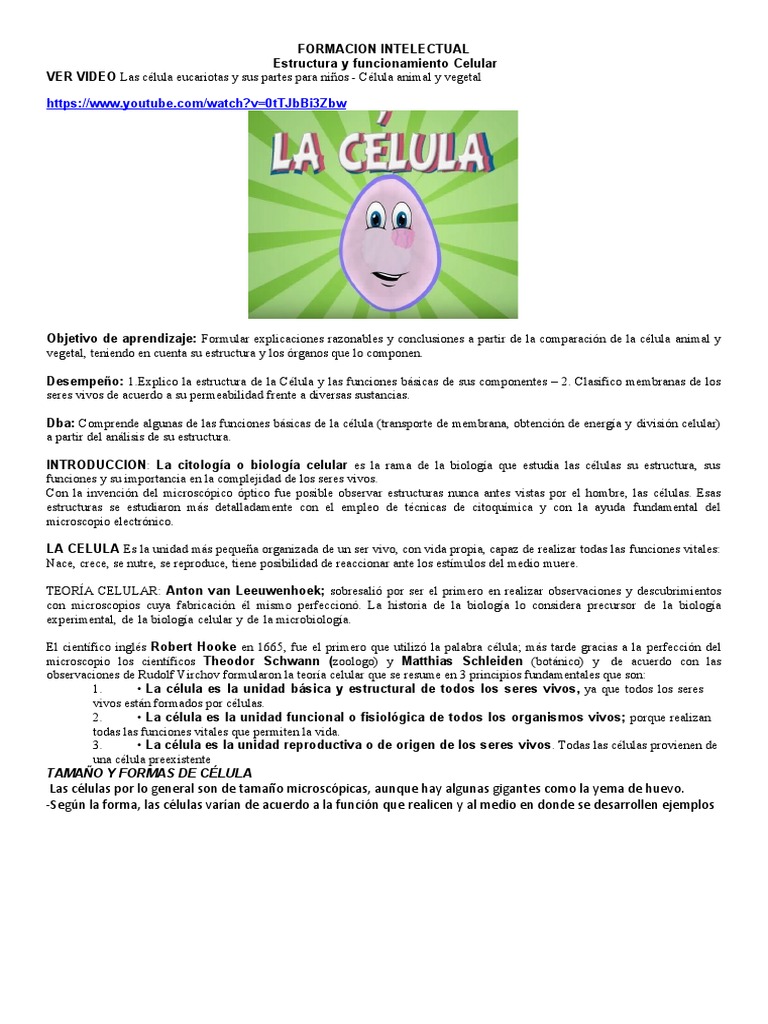 6 Actividad de Aprendizaje n.1 Sexto La Celula 1 | PDF | Biología ...