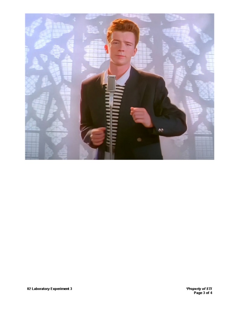 The Rick Roll File | PDF