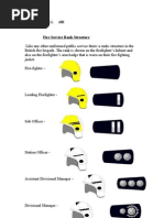 BFP Ranks Positions Insignias | PDF