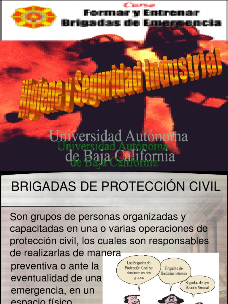 Brigadas de Proteccion Civil | PDF | Defensa Civil | Riesgo