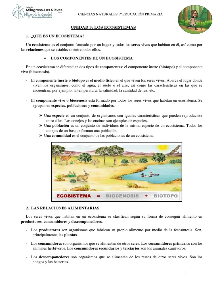 Tipos de Ecosistemas para Niños | PDF | Ecosistema | Biodiversidad