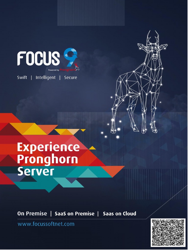 Focus 9 ERP | PDF | Databases | Enterprise Resource Planning