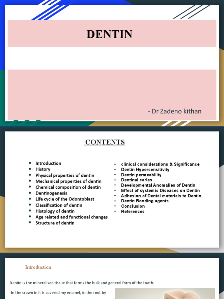 Dentin | PDF | Dentin | Tooth Enamel