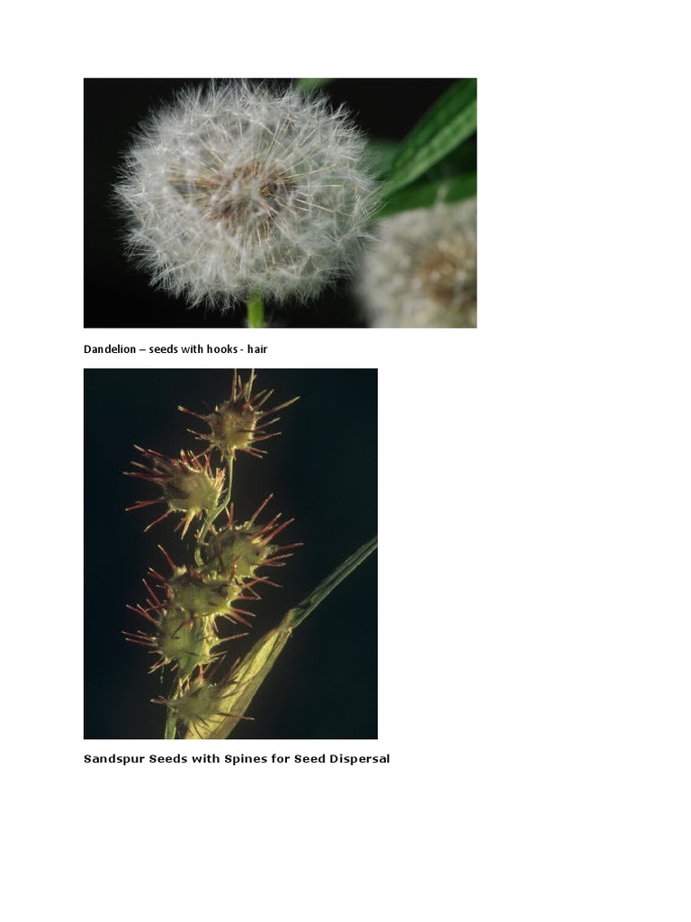 Science HW | PDF