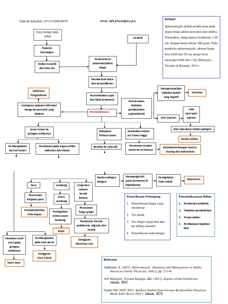 WOC Splenomegali | PDF