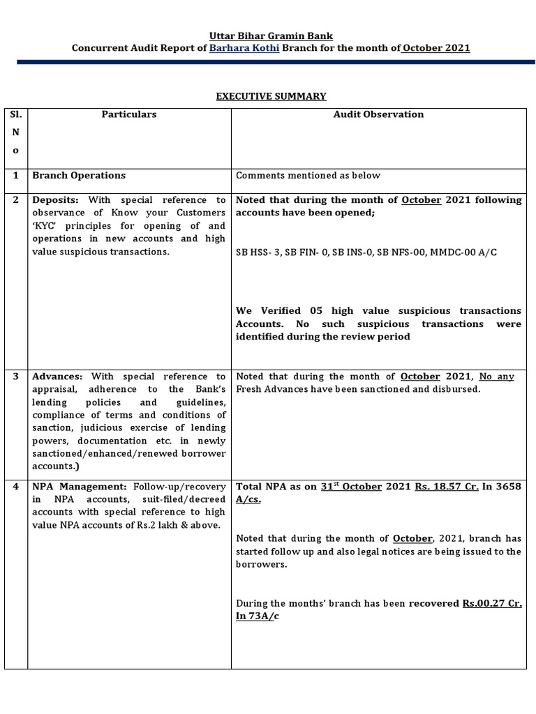Concurrent Audit Report | PDF | Financial Transaction | Banks