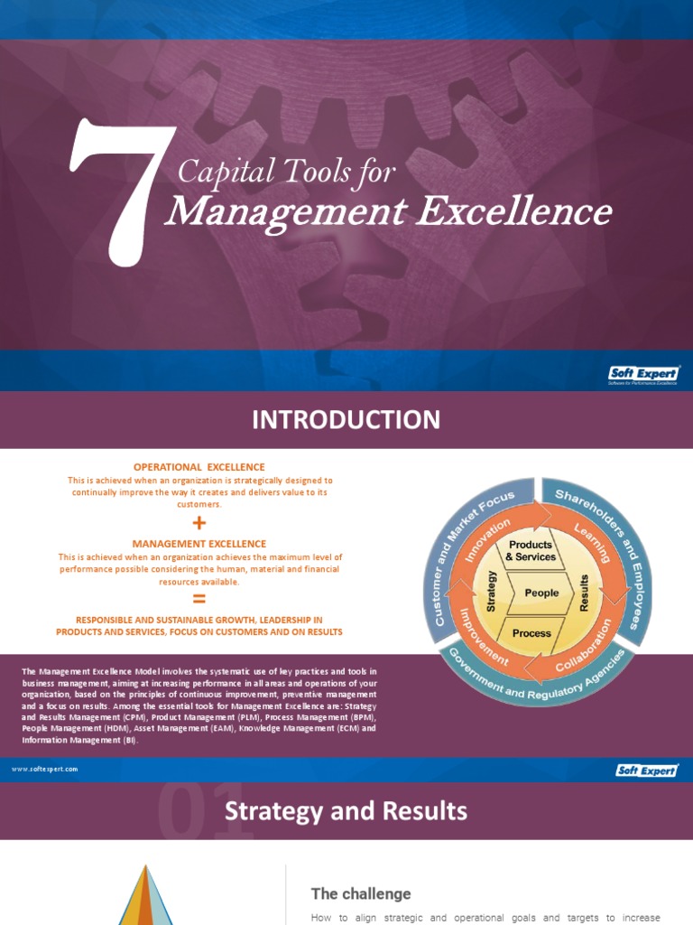 7 Capital Tools For Management Excellence | PDF | Business Process ...