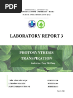Lab Report 1 Biology Photosynthesis | PDF | Photosynthesis | Cellular ...