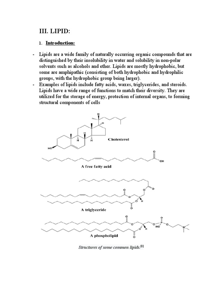 Iii. Lipid:: Structures of Some Common Lipids | PDF | Lipid | Staining