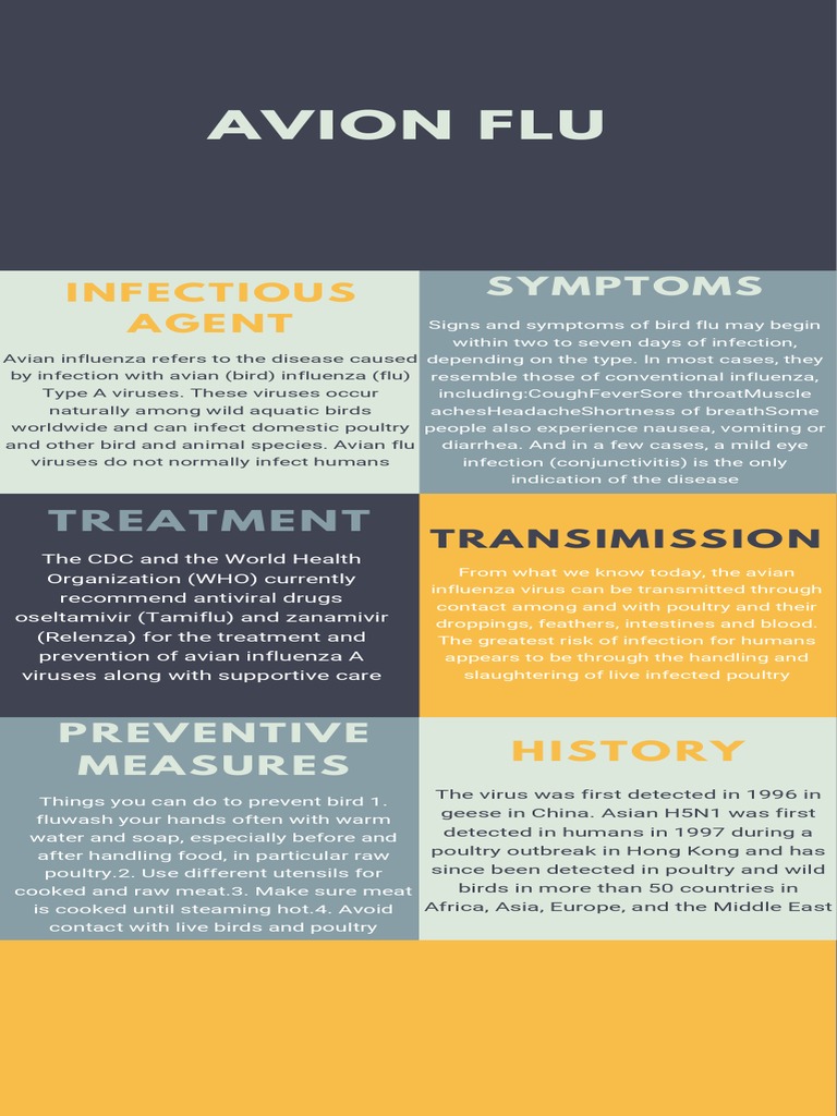 Avion Flu | PDF | Influenza | Avian Influenza