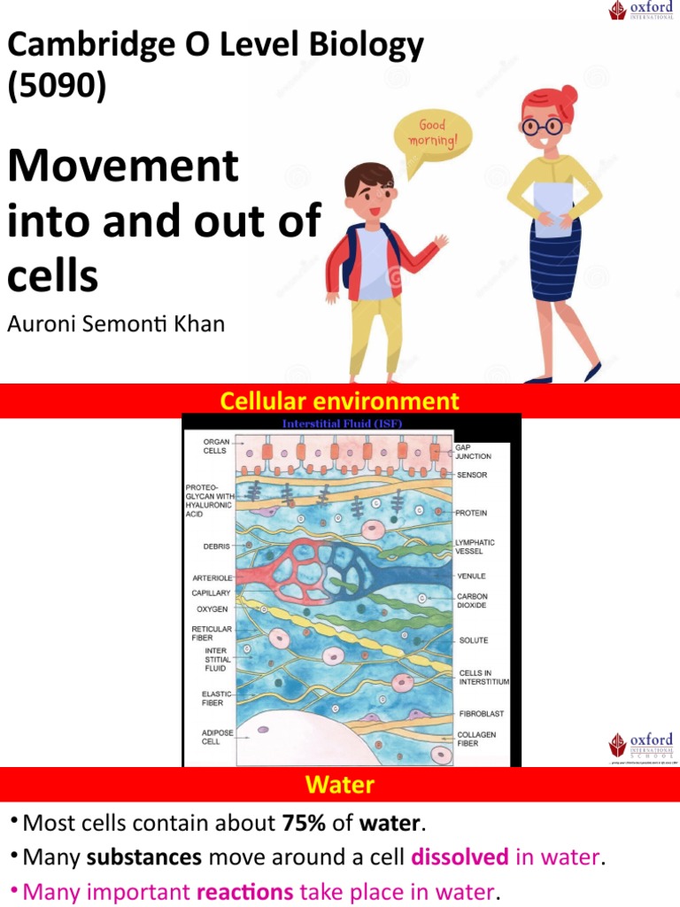 Cambridge O Level Biology (5090) : Movement Into and Out of Cells | PDF ...