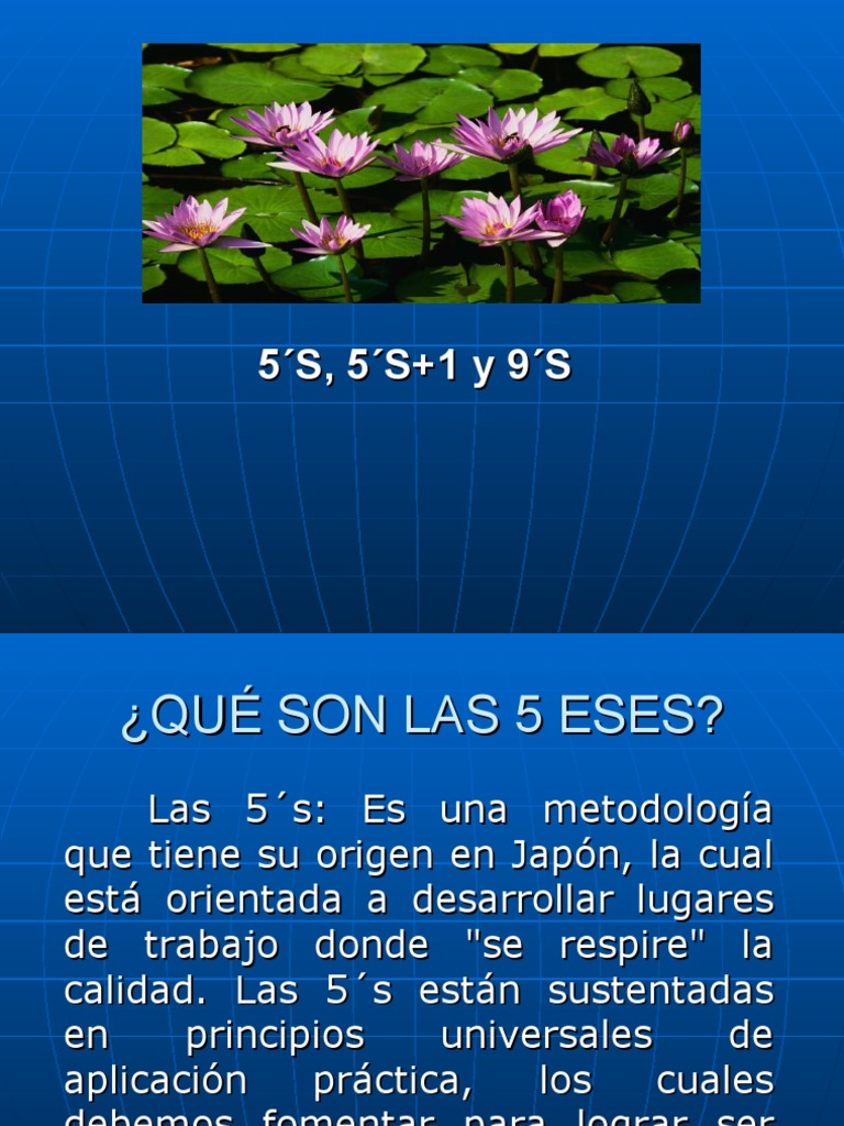 Programa 5 ESES (5 S) | PDF | Crecimiento personal y profesional