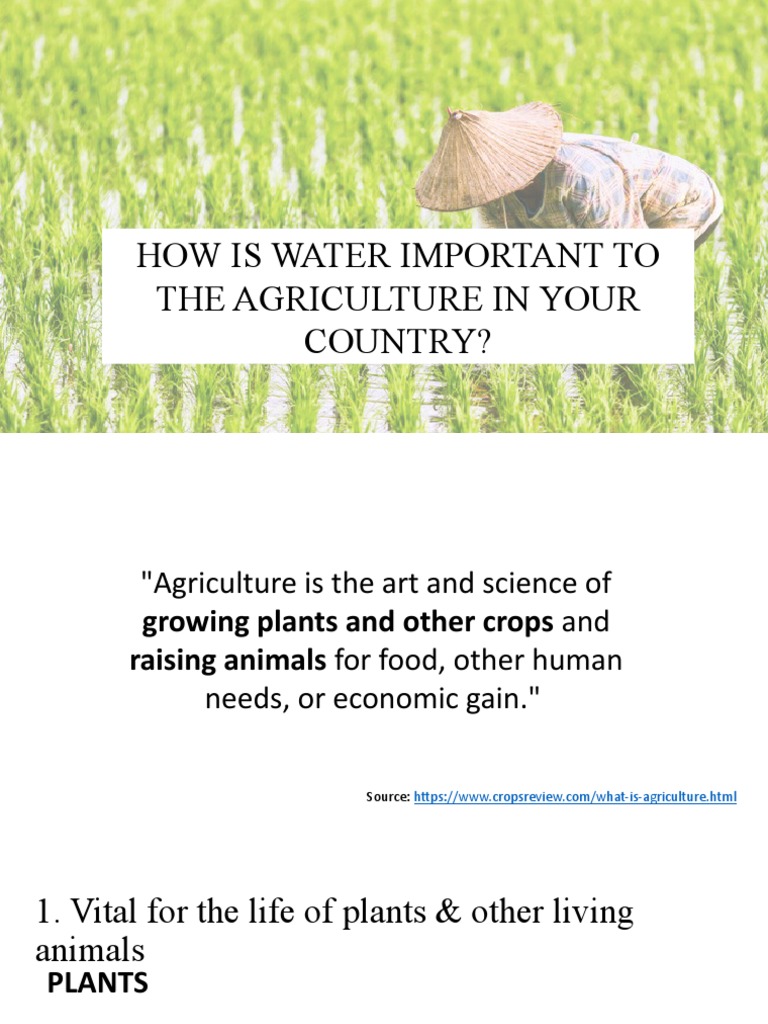 How Is Water Important To The Agriculture in Your Country? | PDF ...