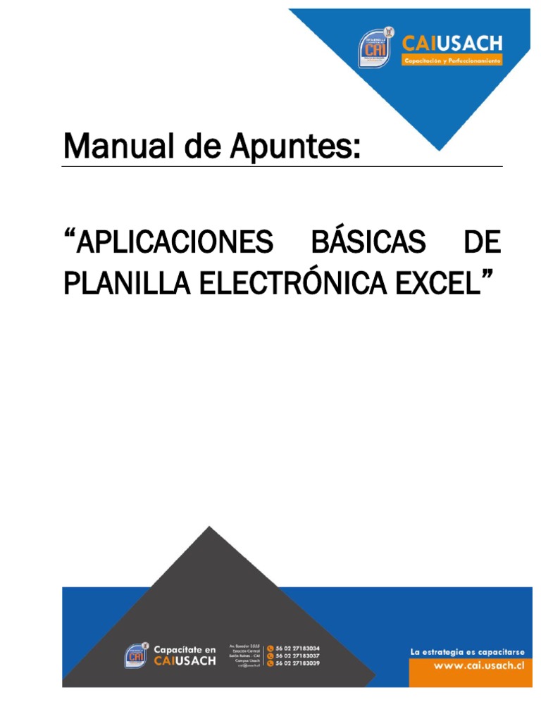Conceptos Básicos | PDF | Hoja de cálculo | Microsoft Excel