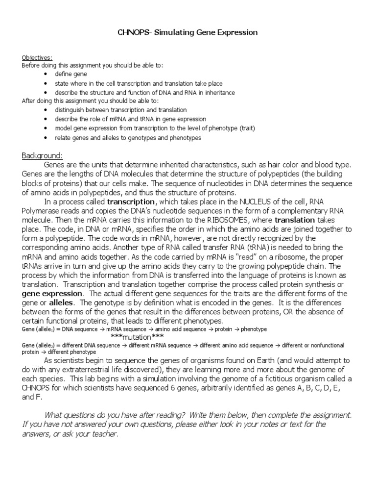 CHNOPS-simulating Protein Synthesis | PDF | Gene | Translation (Biology)