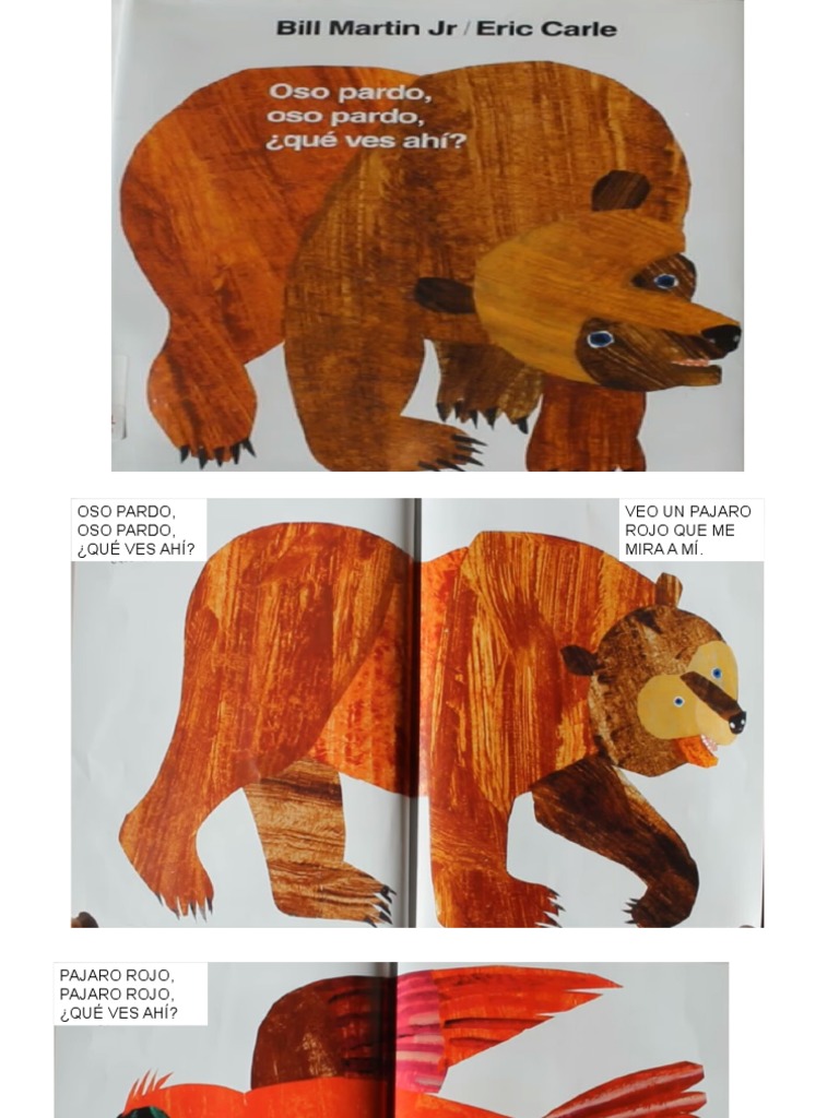 Oso Pardo: ¿Qué Ves Ahí? PDF | PDF