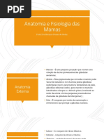 Anatomia e Fisiologia das Mamas | PDF | Seio | Anatomia