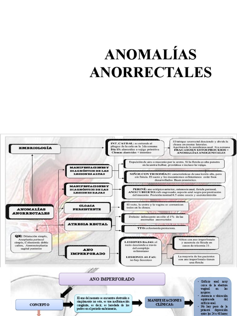 Anomalias Anorrectales | PDF | Especialidades Medicas | Medicina CLINICA